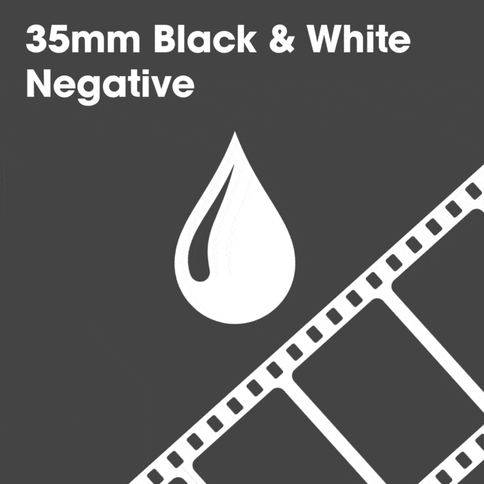16mm Colour Neg Process + HD Scan (100 ft) – On8mil.com